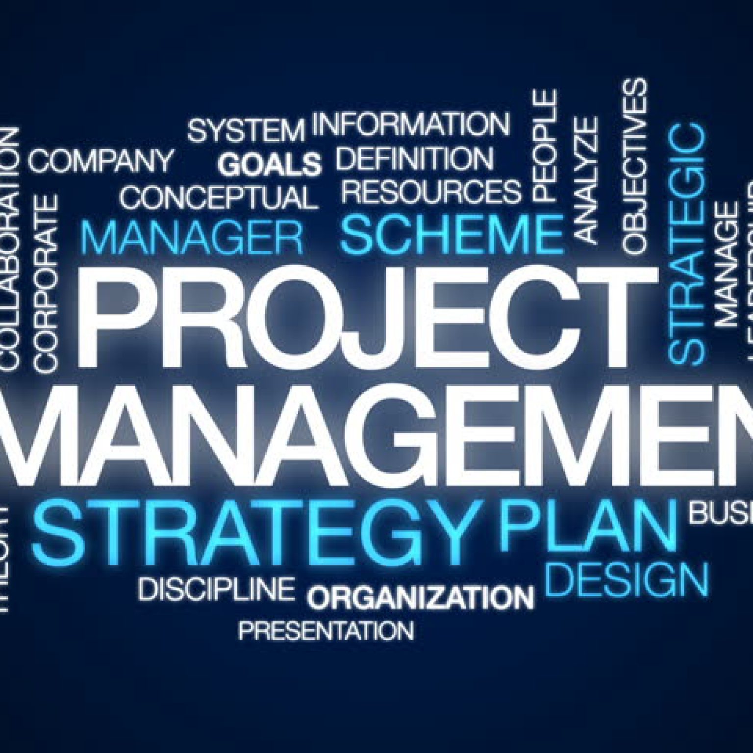 Project Management Division – Scenario Global